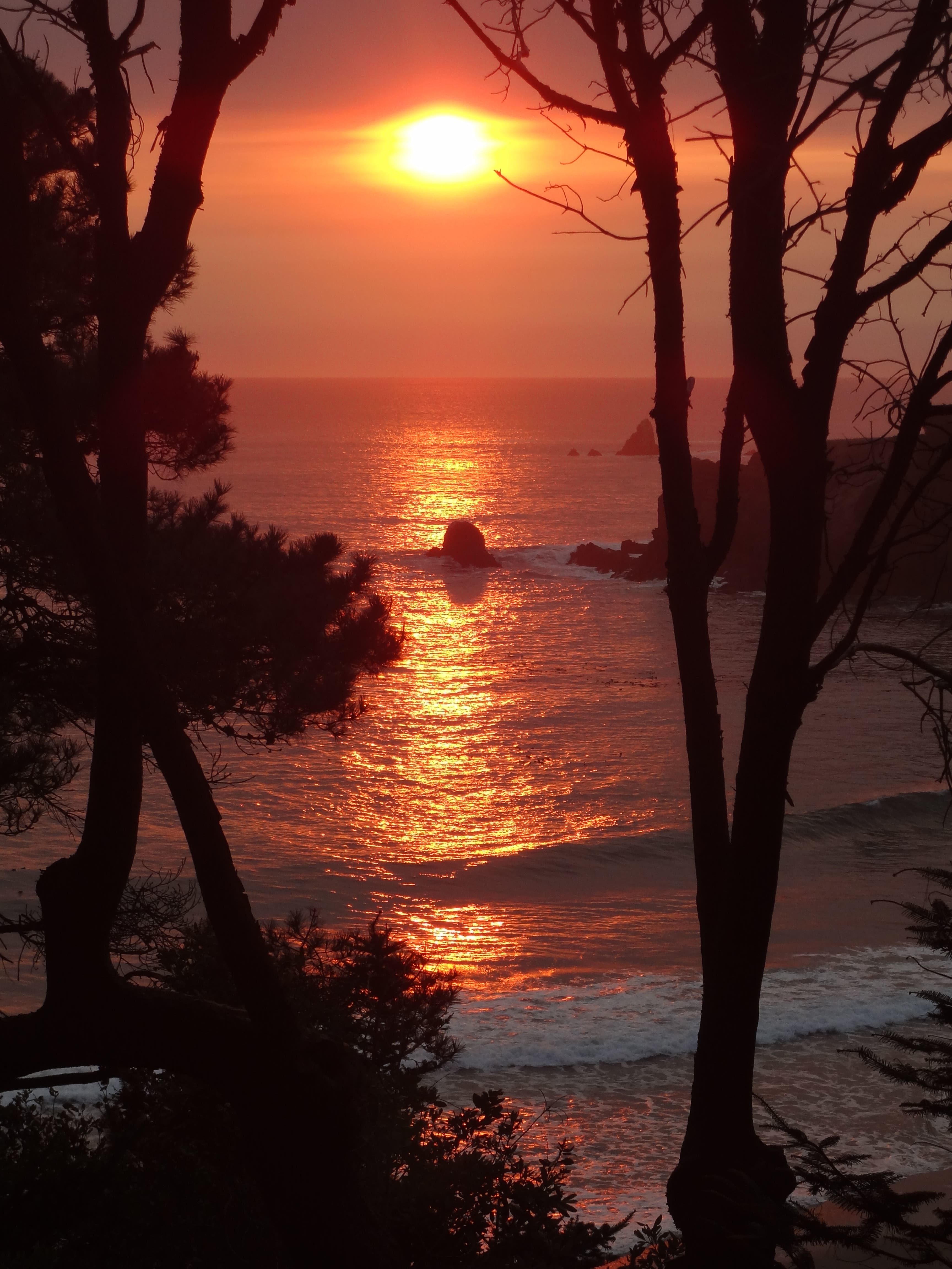 Listings – Banana Belt Properties